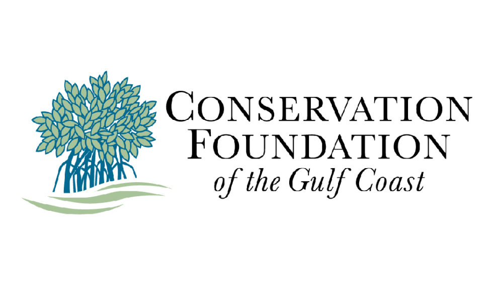 Green Living Toolkit | Science and Environment Council